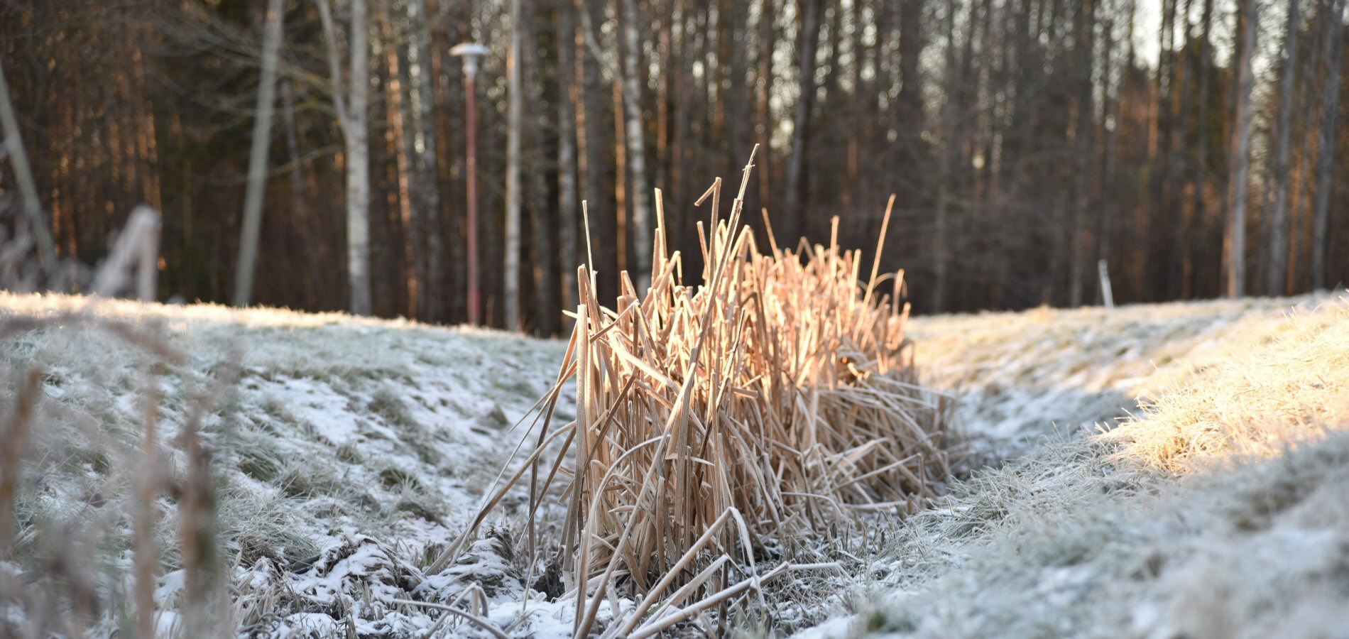 KGC Associates Limited – …independence, focus, clarity