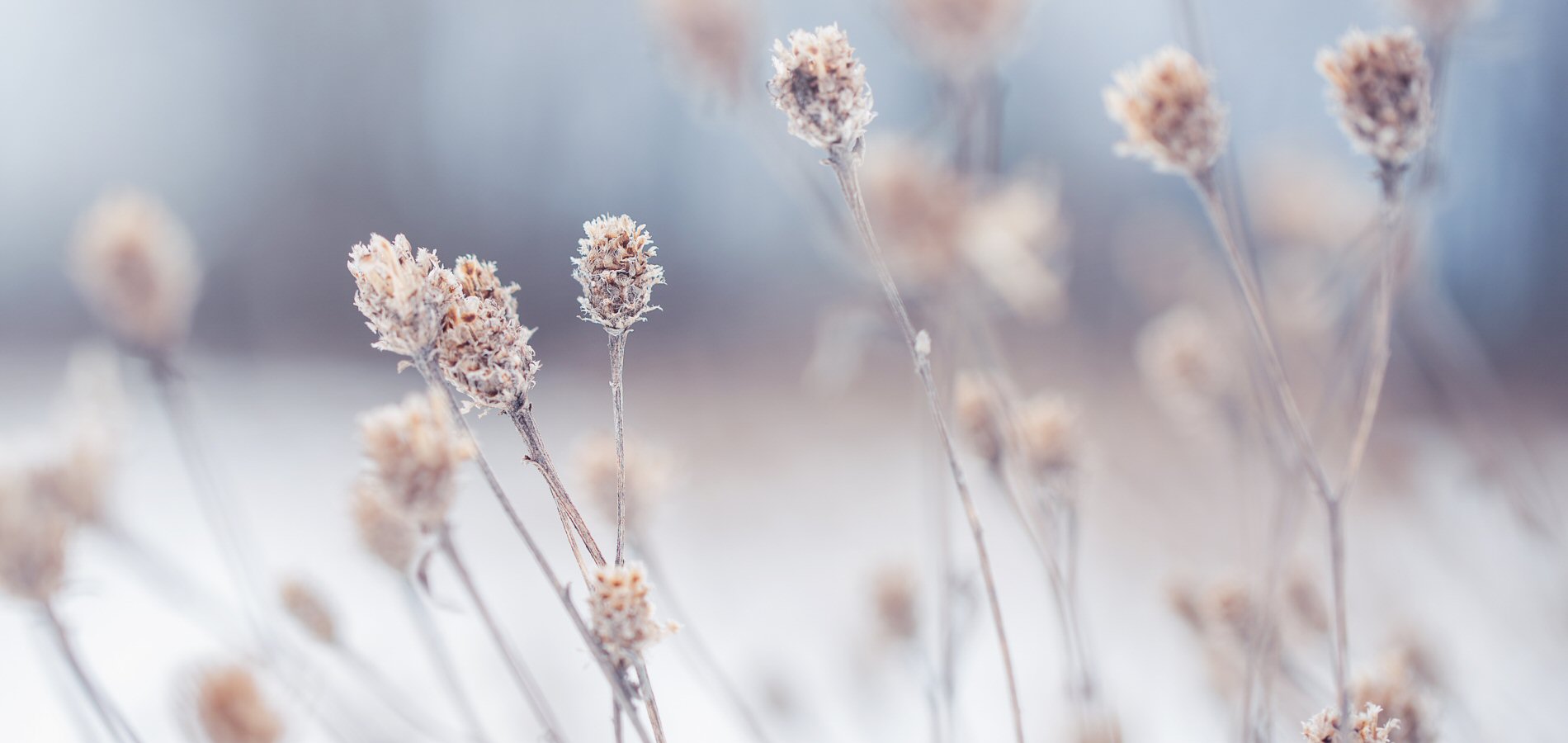 KGC Associates Limited – …independence, focus, clarity