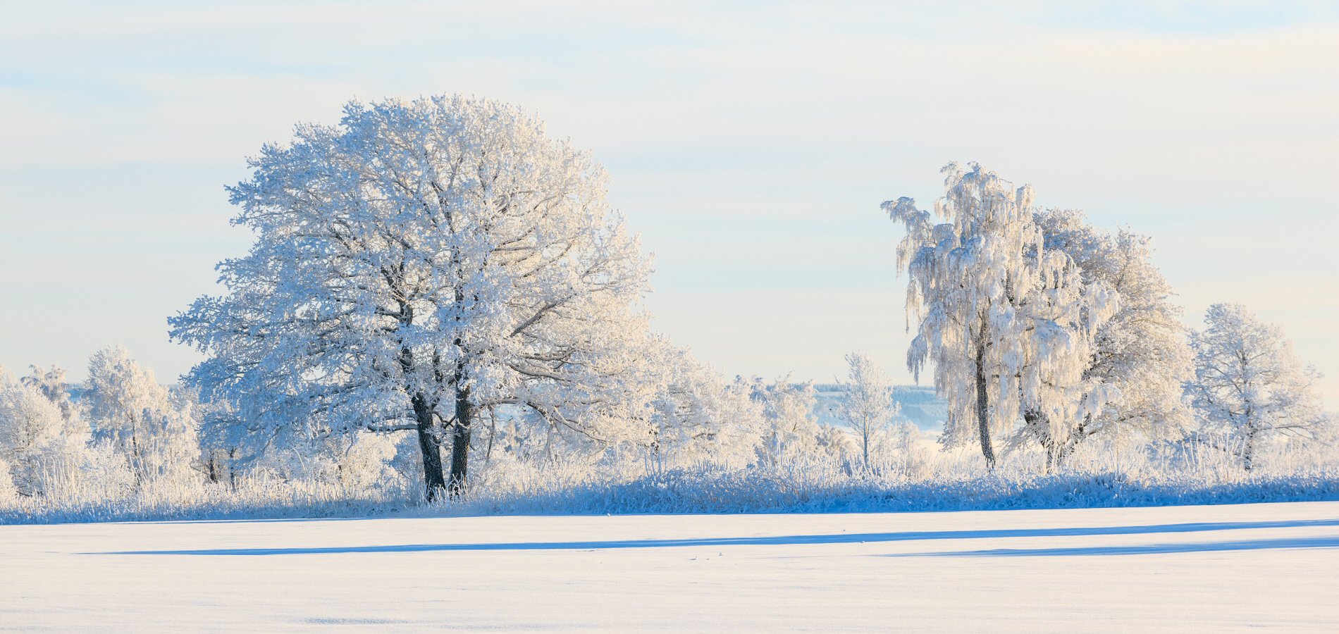 KGC Associates Limited – …independence, focus, clarity