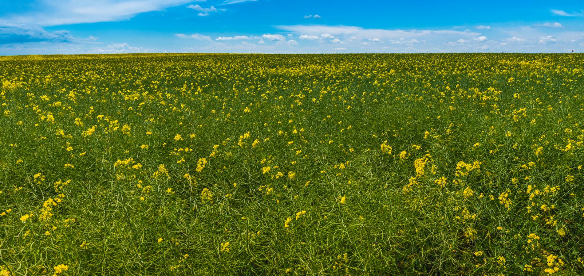 KGC Associates Limited – …independence, focus, clarity