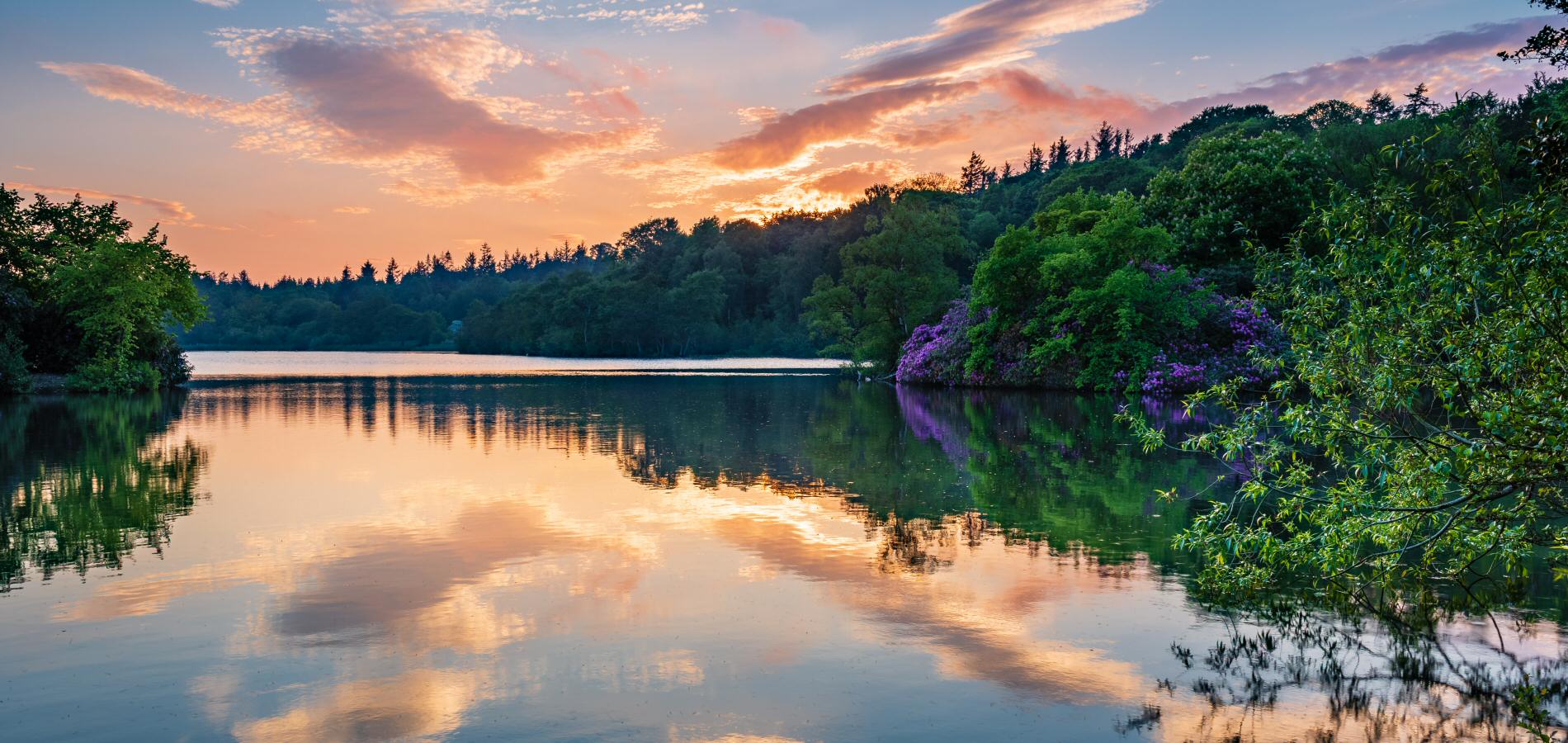 KGC Associates Limited – …independence, focus, clarity